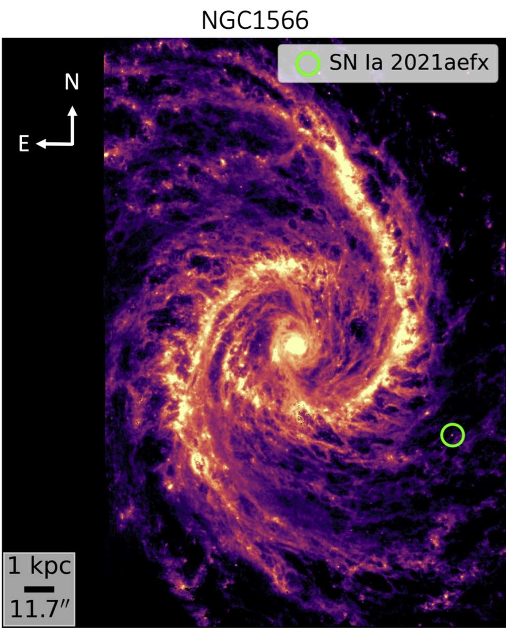 Le James-Webb se penche sur les secrets des supernovae